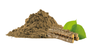 Benefits of Guduchi (Giloy) Powder, Uses, Dosage & More!